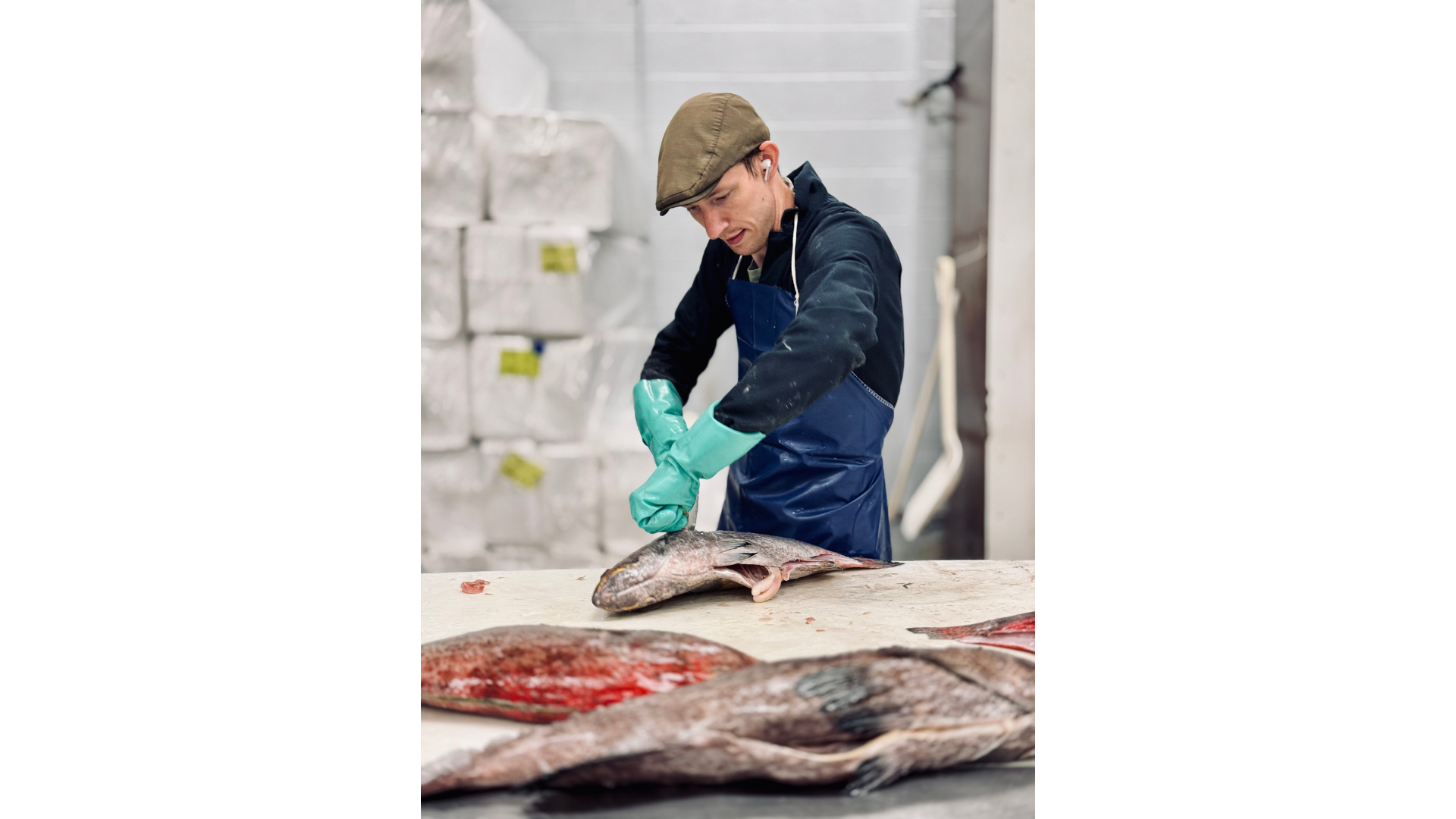 Seafood Wholesale in Western Carolinas | Gusto Fresh