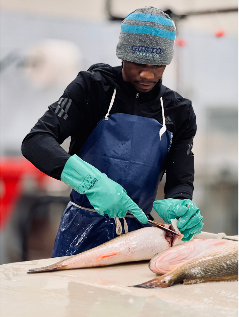 Seafood Wholesale in Western Carolinas | Gusto Fresh