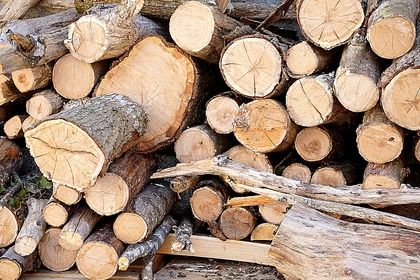 Firewood Nottingham - Hard & Softwood Logs For Sale