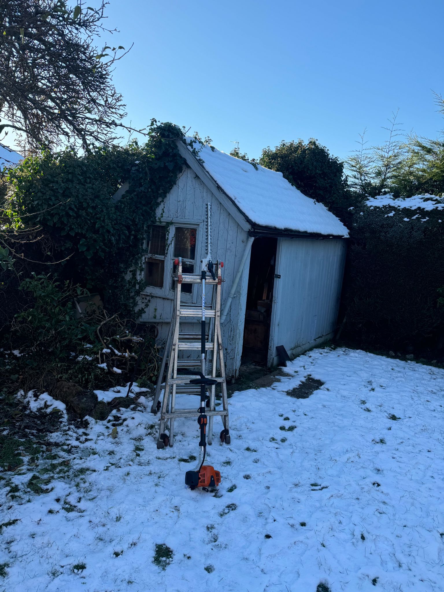 Portfolio Of Latest Tree Work In Nottingham & Derby