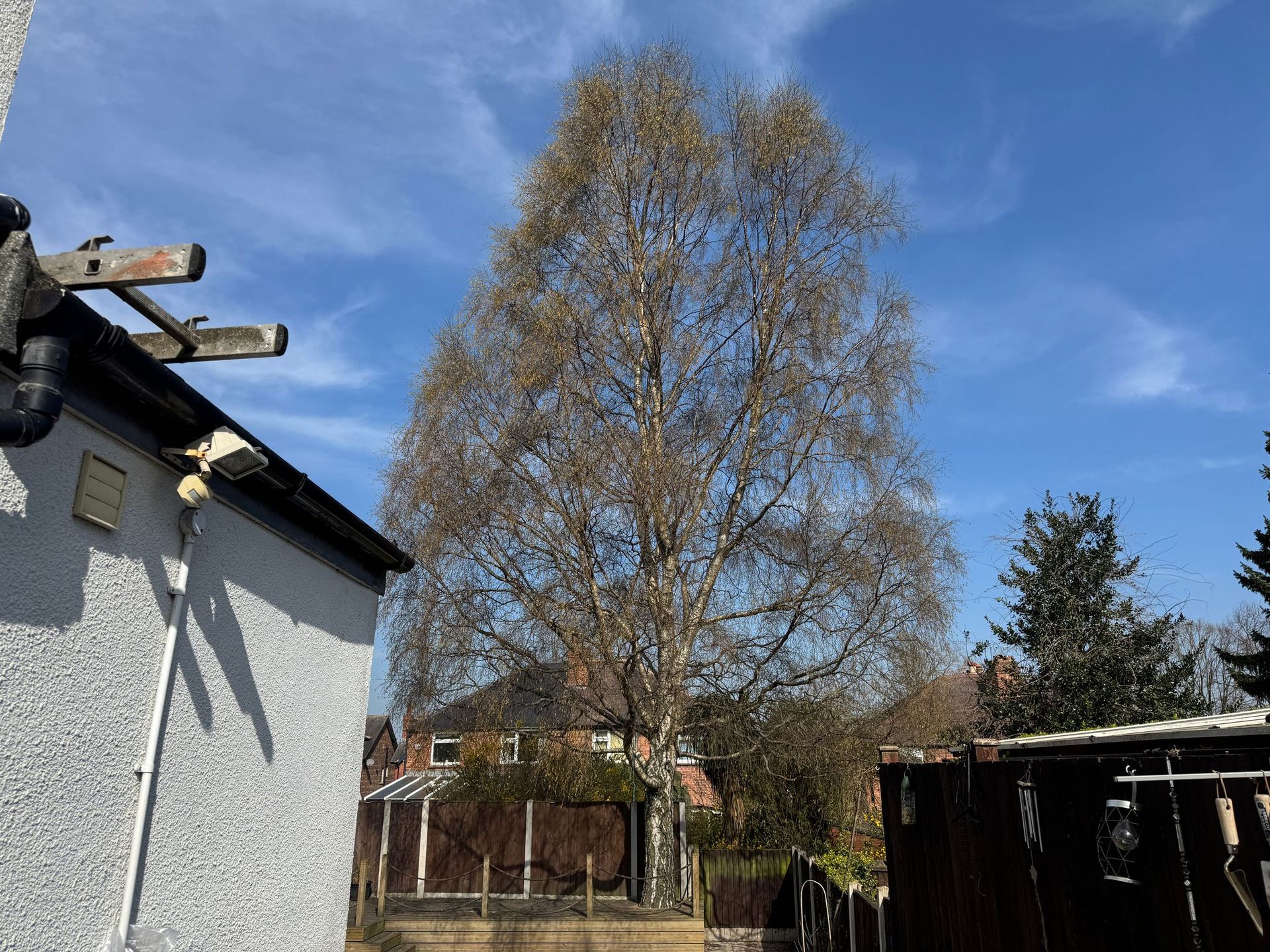 Tree Surgeon Nottingham - Arborist & Tree Service Provider