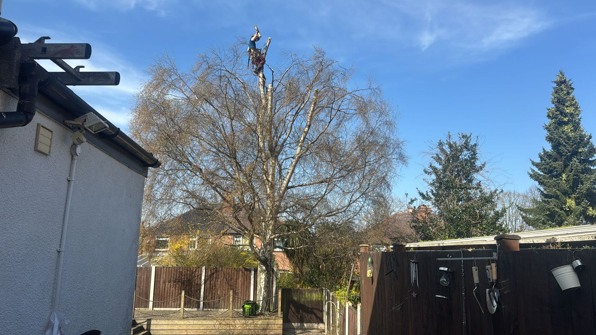 Tree Surgeon Nottingham - Arborist & Tree Service Provider