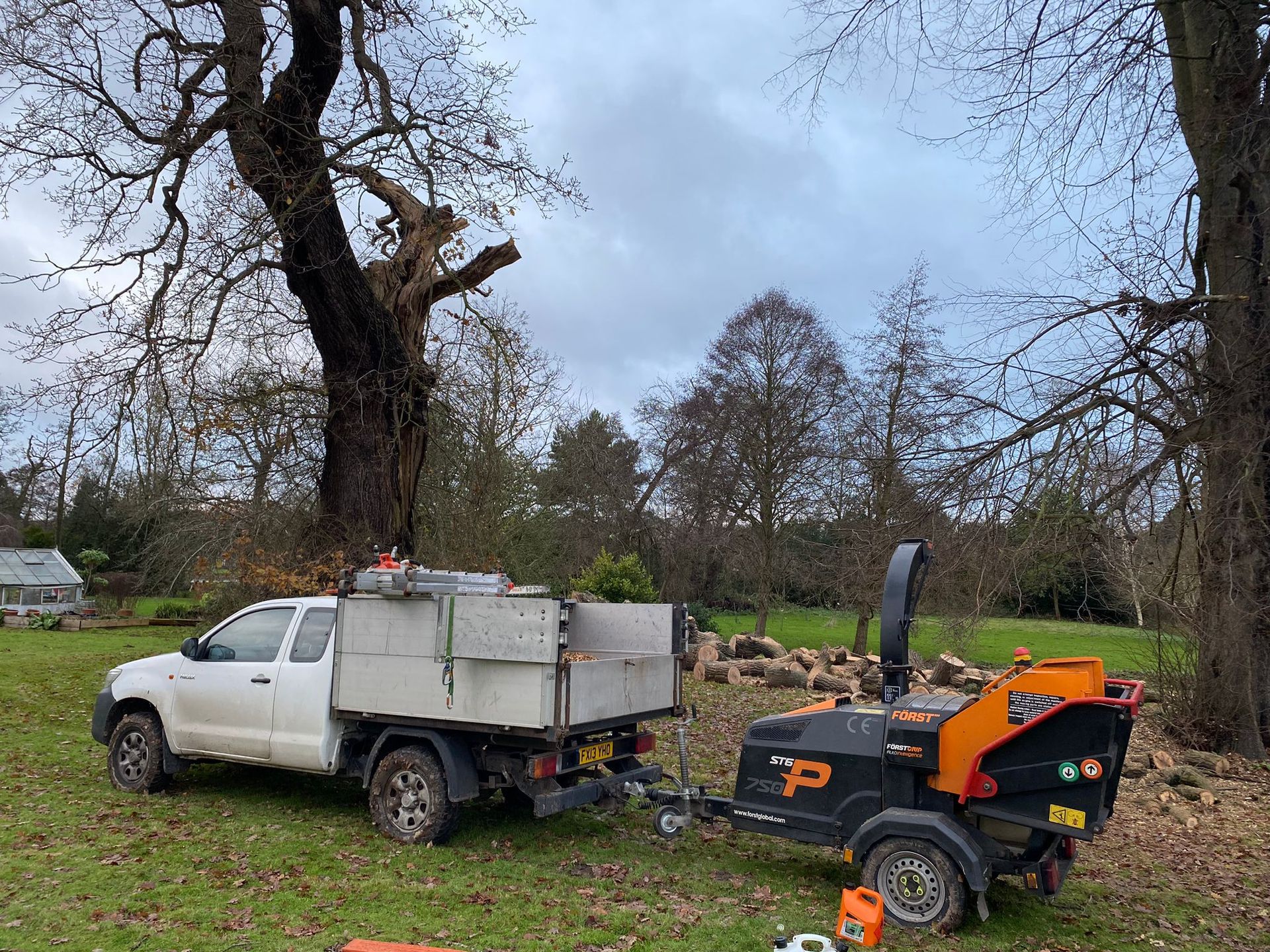 Portfolio Of Latest Tree Work In Nottingham & Derby