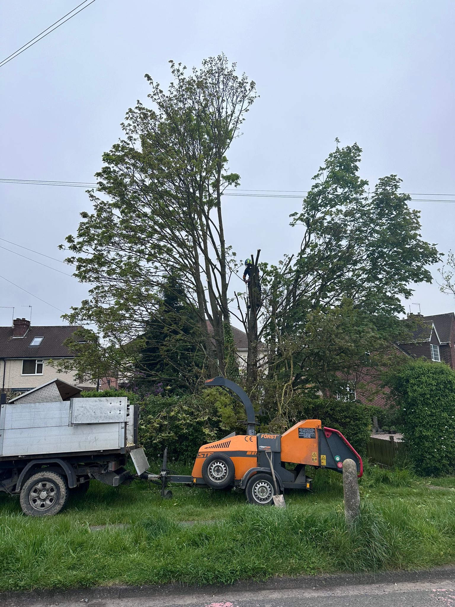 Portfolio Of Latest Tree Work In Nottingham & Derby