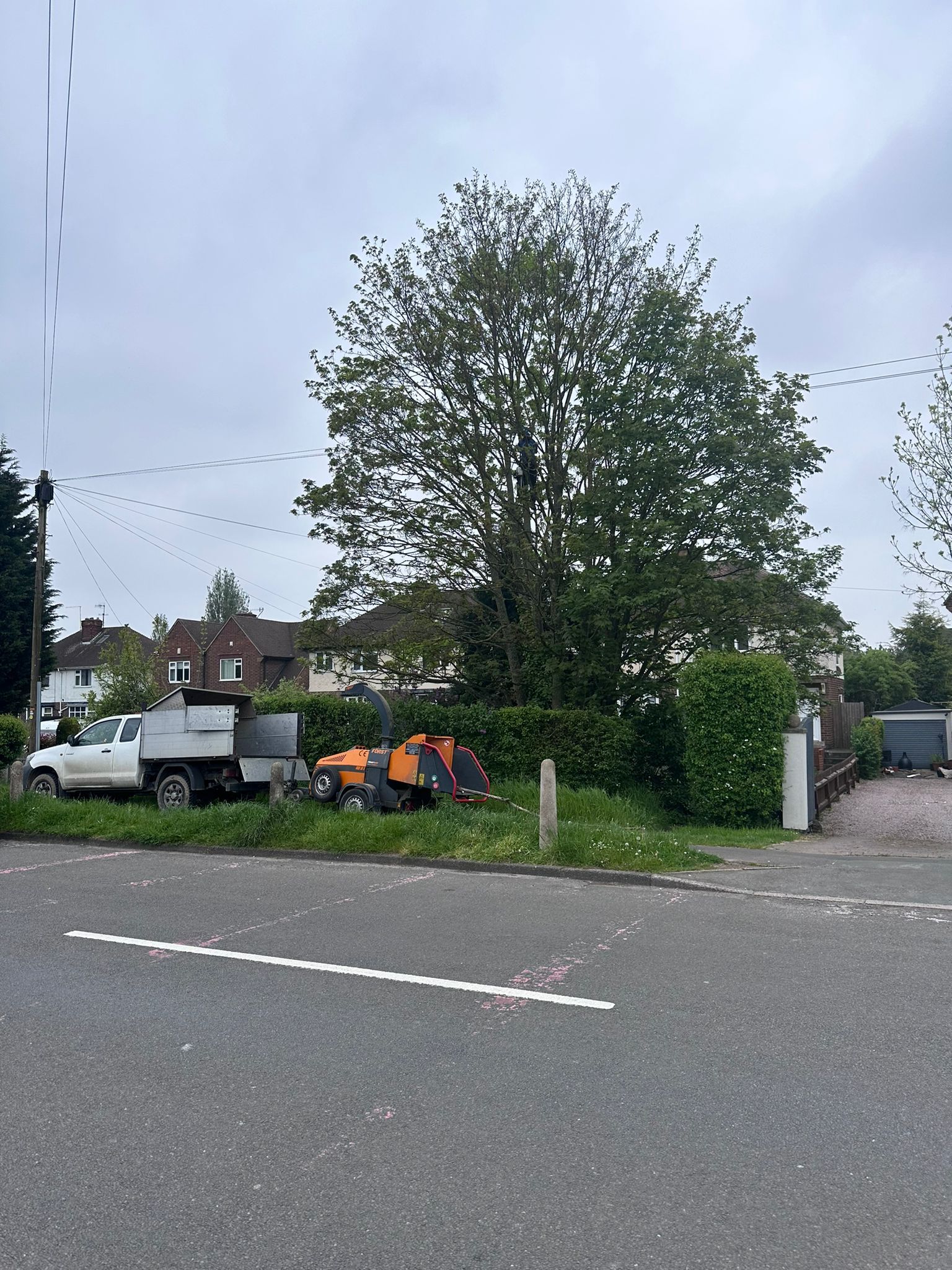 Portfolio Of Latest Tree Work In Nottingham & Derby