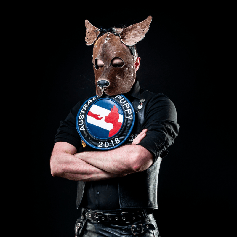 Australian Pup & Handler Competition History