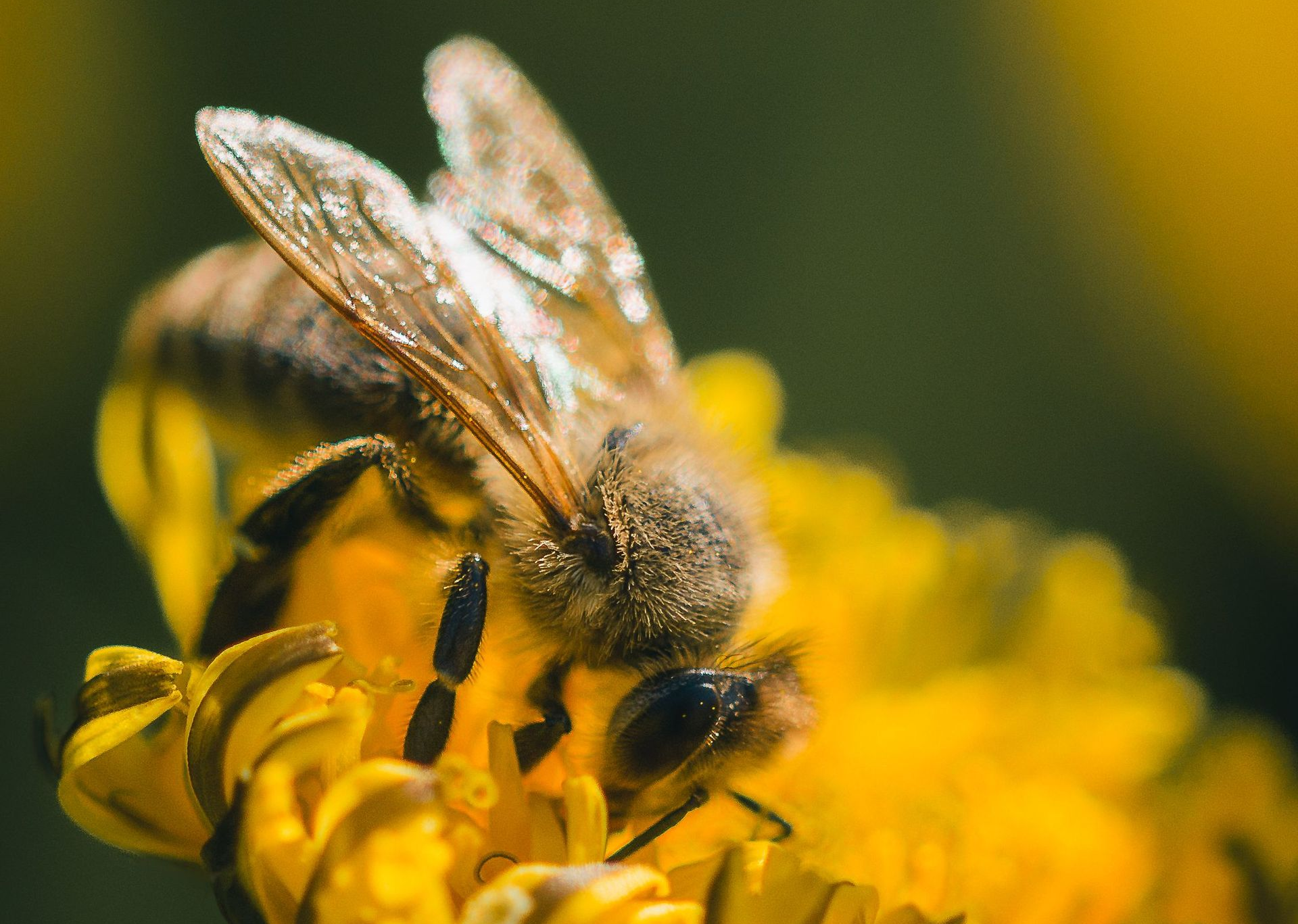 That time of year again — Seasonal allergies