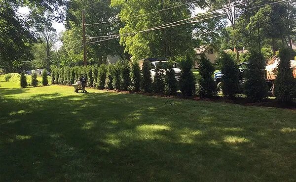 Landscaping Services | Springfield, MA | Thomas P Ryland Co.