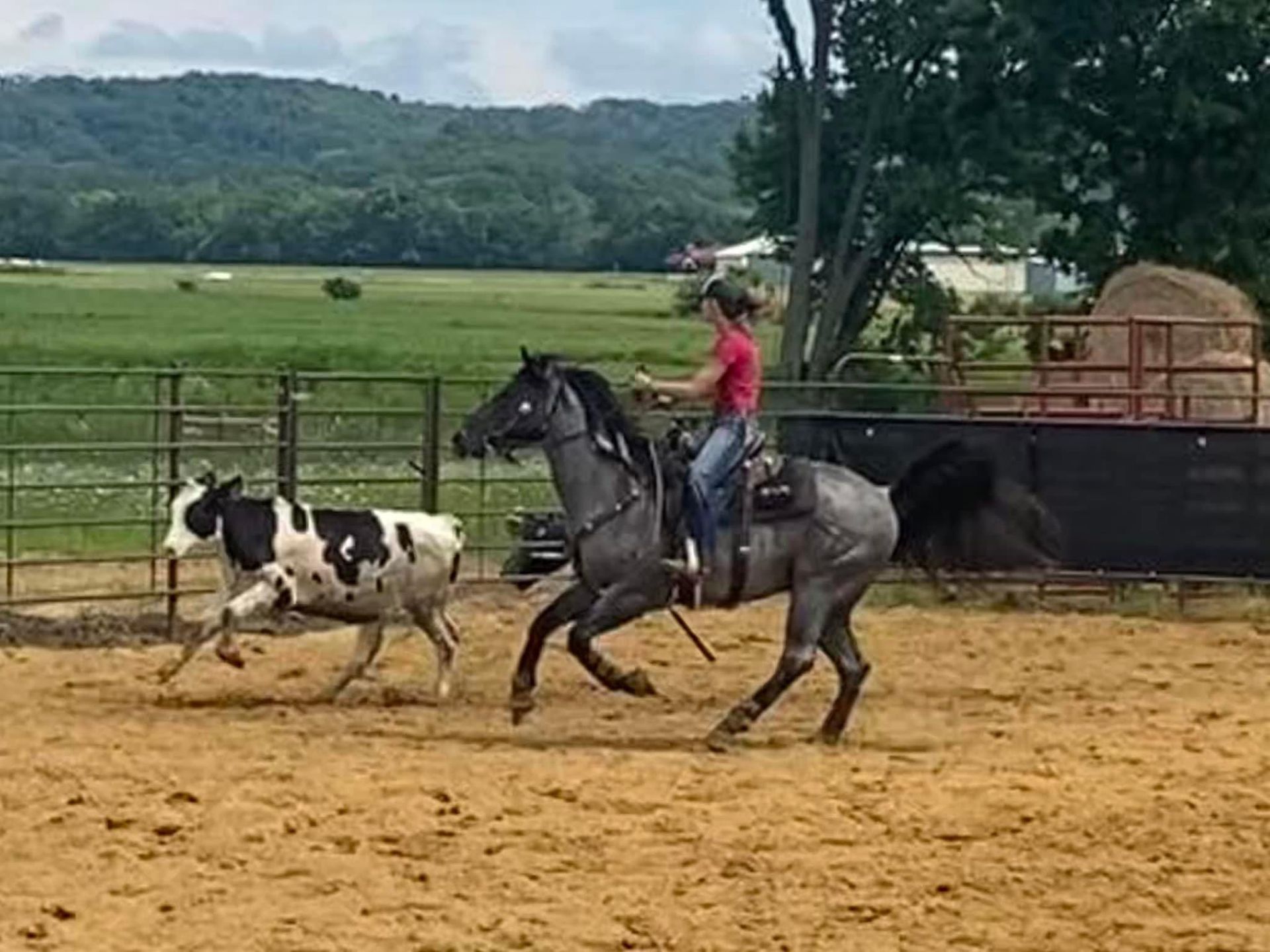 Rocking M Ranch Arena Schedule | Wyoming Saddle Company | Richland ...