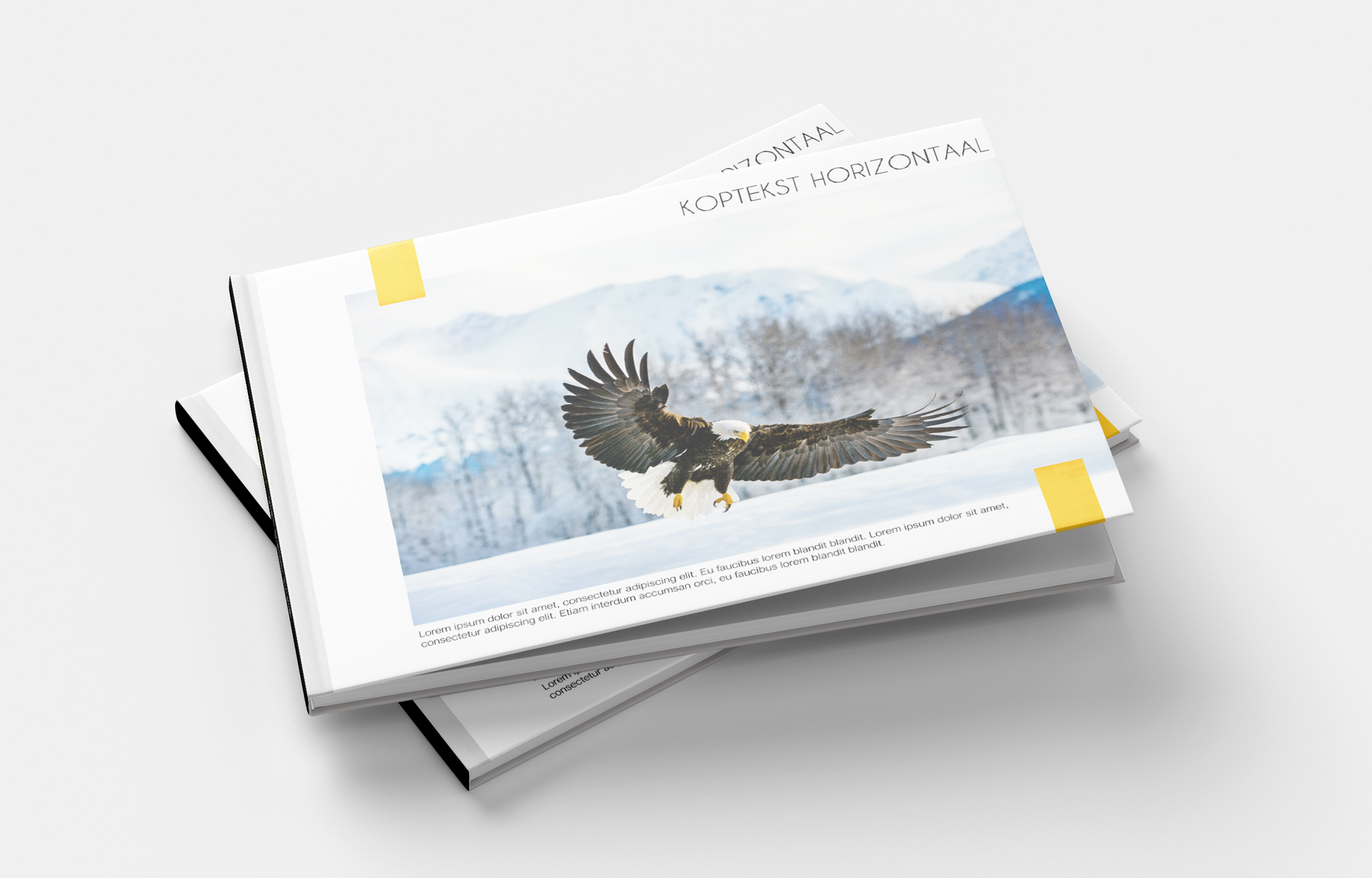 Zo kun jij het ook! Templates gebruiken als voorbeeldpagina's