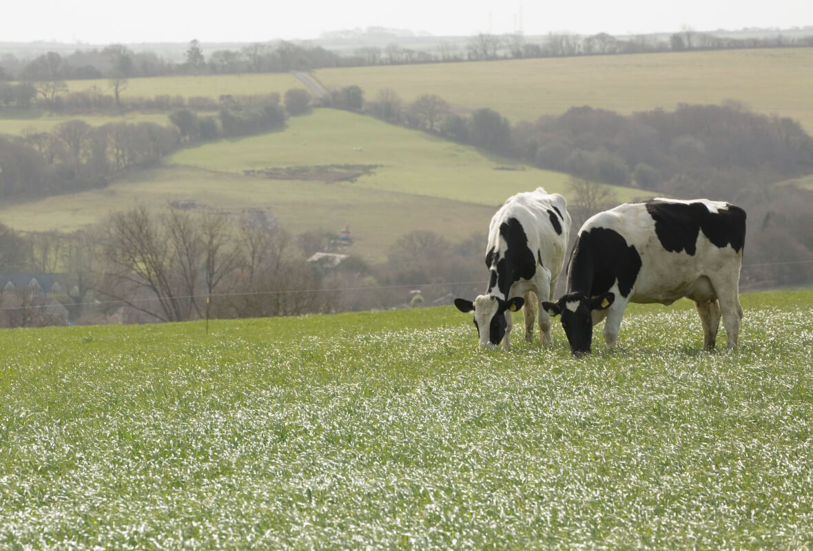 Farm Visits for Caterers