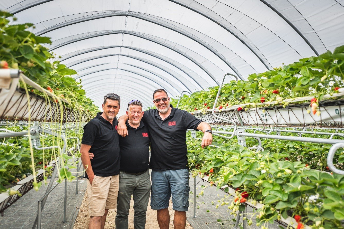 How some of Britain's earliest, sweetest soft fruit is grown