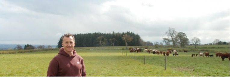 An interview with Simon Hare, the farmer at Cross Lanes Organics in ...