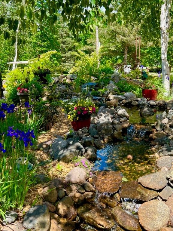 Photo and Video Gallery | Rainbow Resort