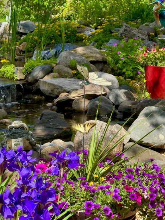 Photo and Video Gallery | Rainbow Resort