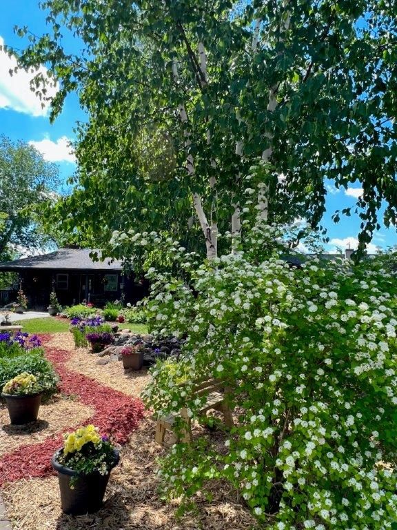 Photo and Video Gallery | Rainbow Resort