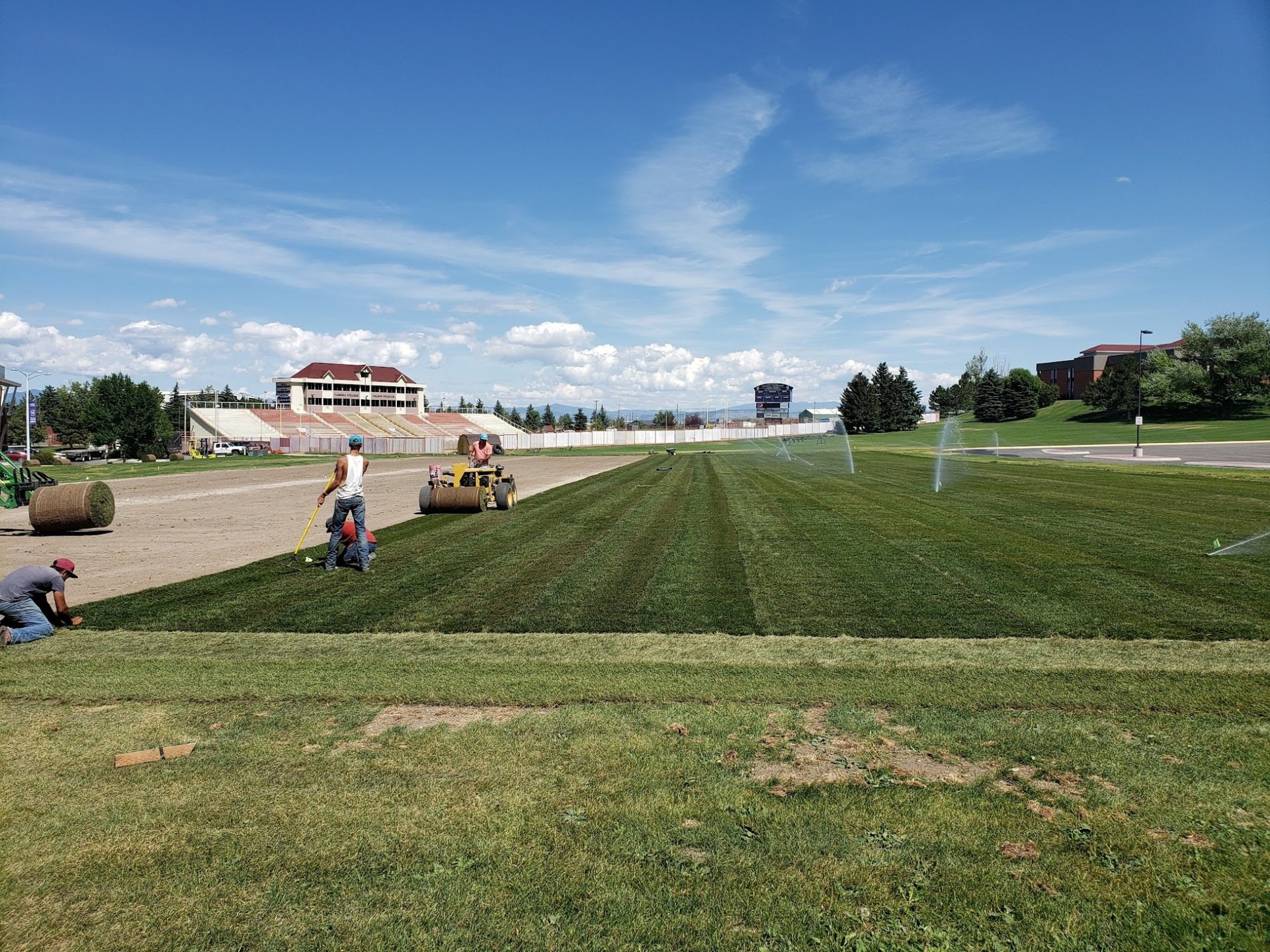 Kentucky Bluegrass Turf Services | Summit Valley Turf