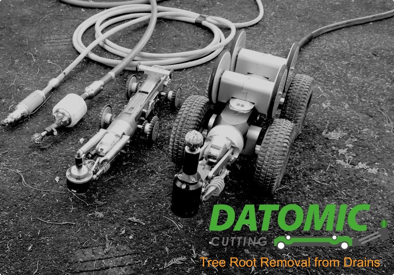 Commercial Tree Root Removal in Drain - Nationwide 24/7