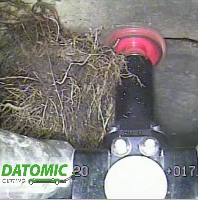 Commercial Tree Root Removal in Drain - Nationwide 24/7