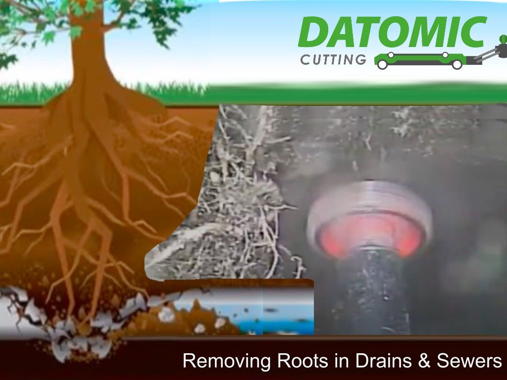Commercial Tree Root Removal in Drain - Nationwide 24/7
