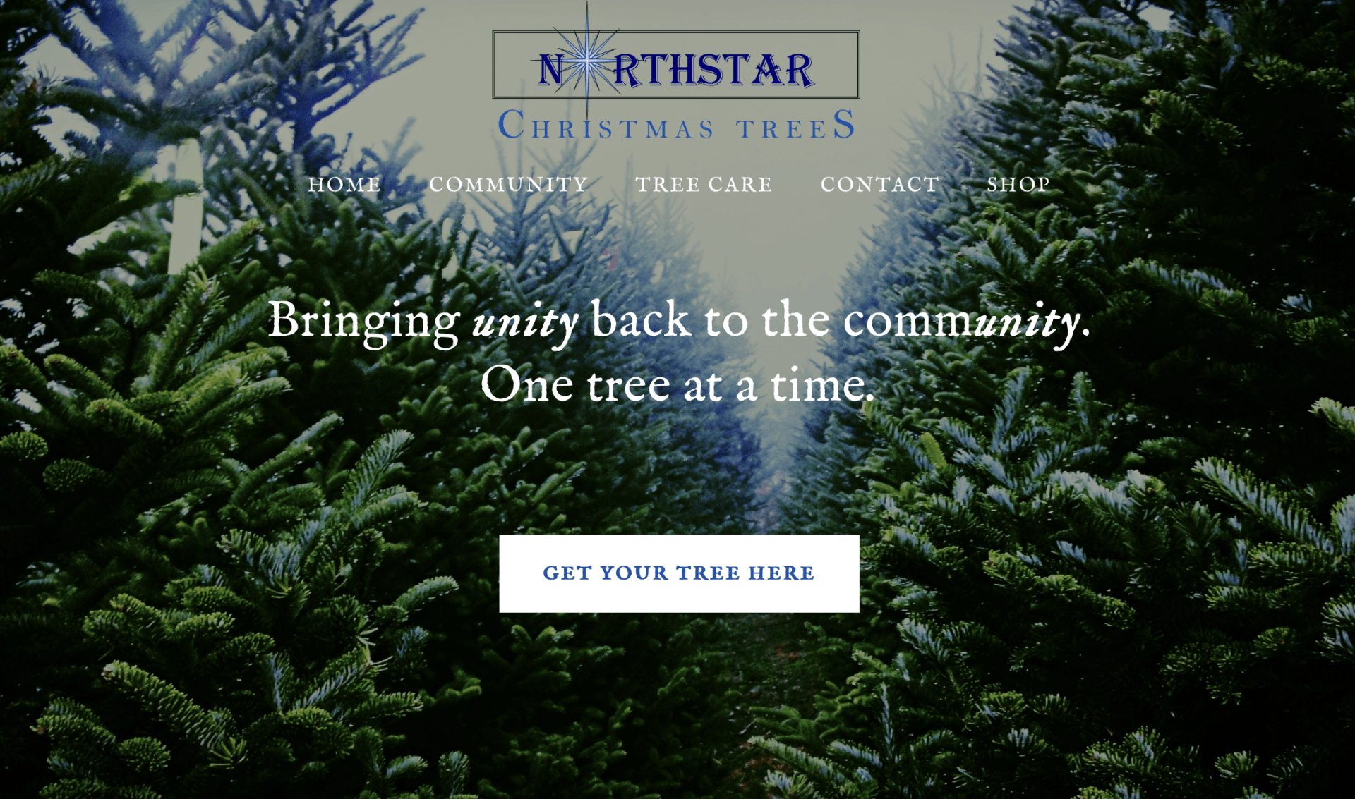 Professional Website Design | Zikoba