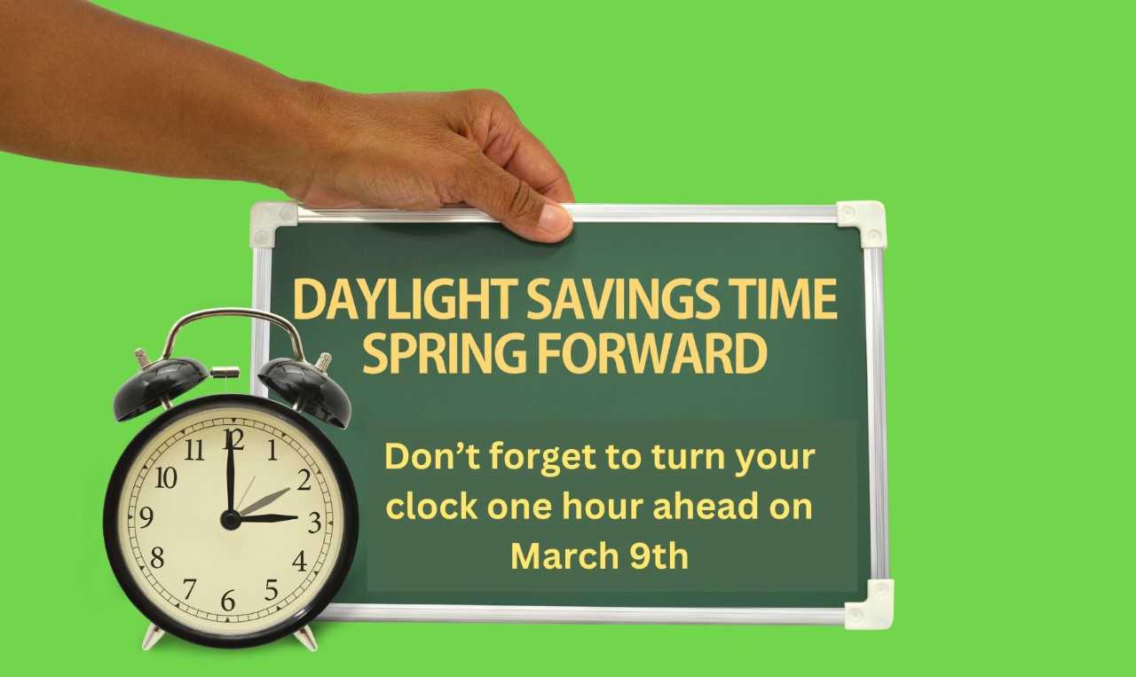 Home [www.mystvincentferrer.org]