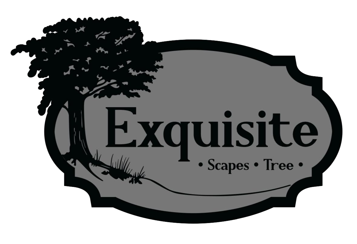 Hardscaping & Landscaping Services | Exquisite Scapes Inc