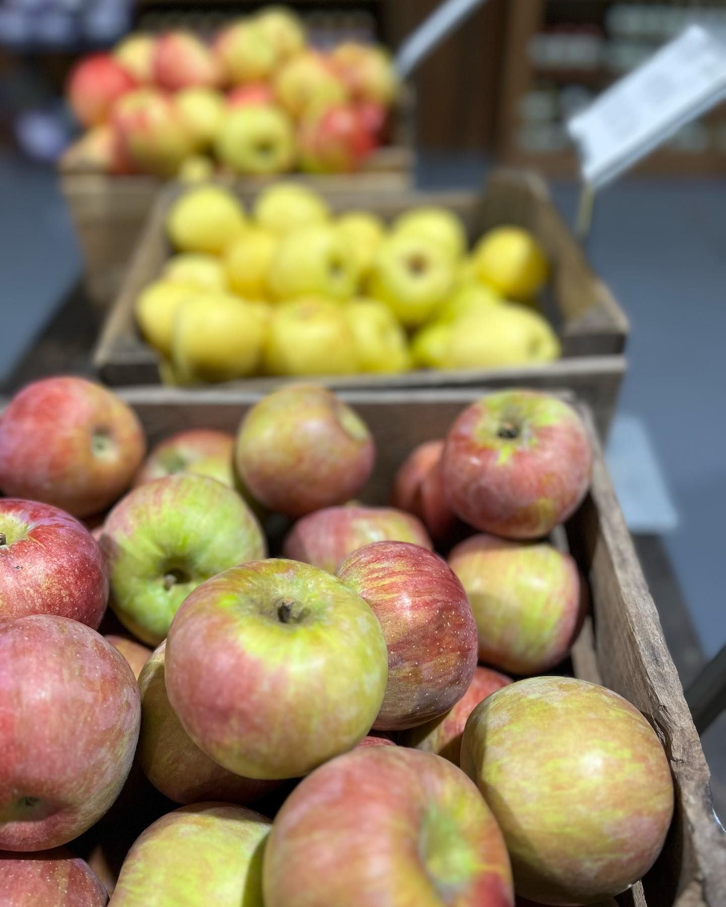 Farm Fresh Produce | Triple J Farm
