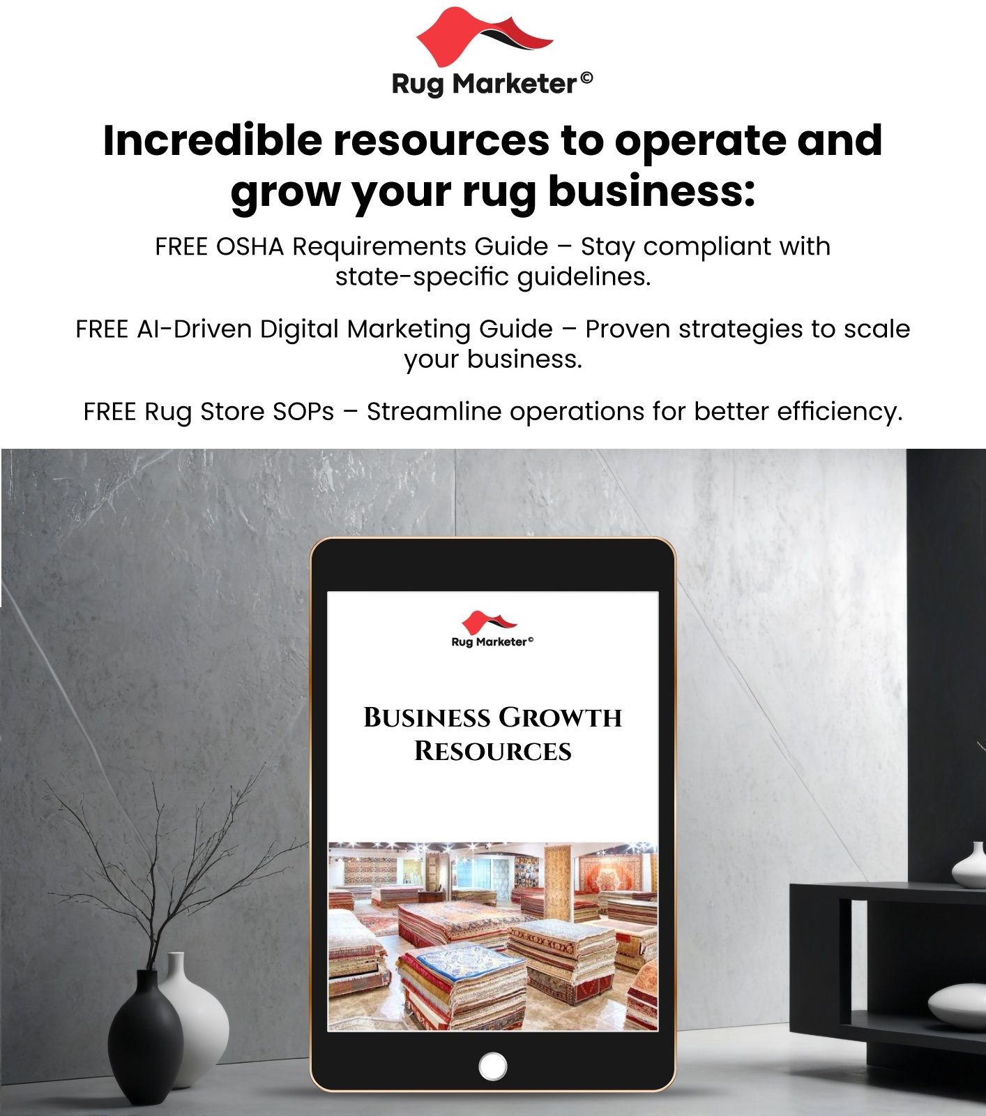 Digital Assets for Rug Store Owners | Rug Marketer