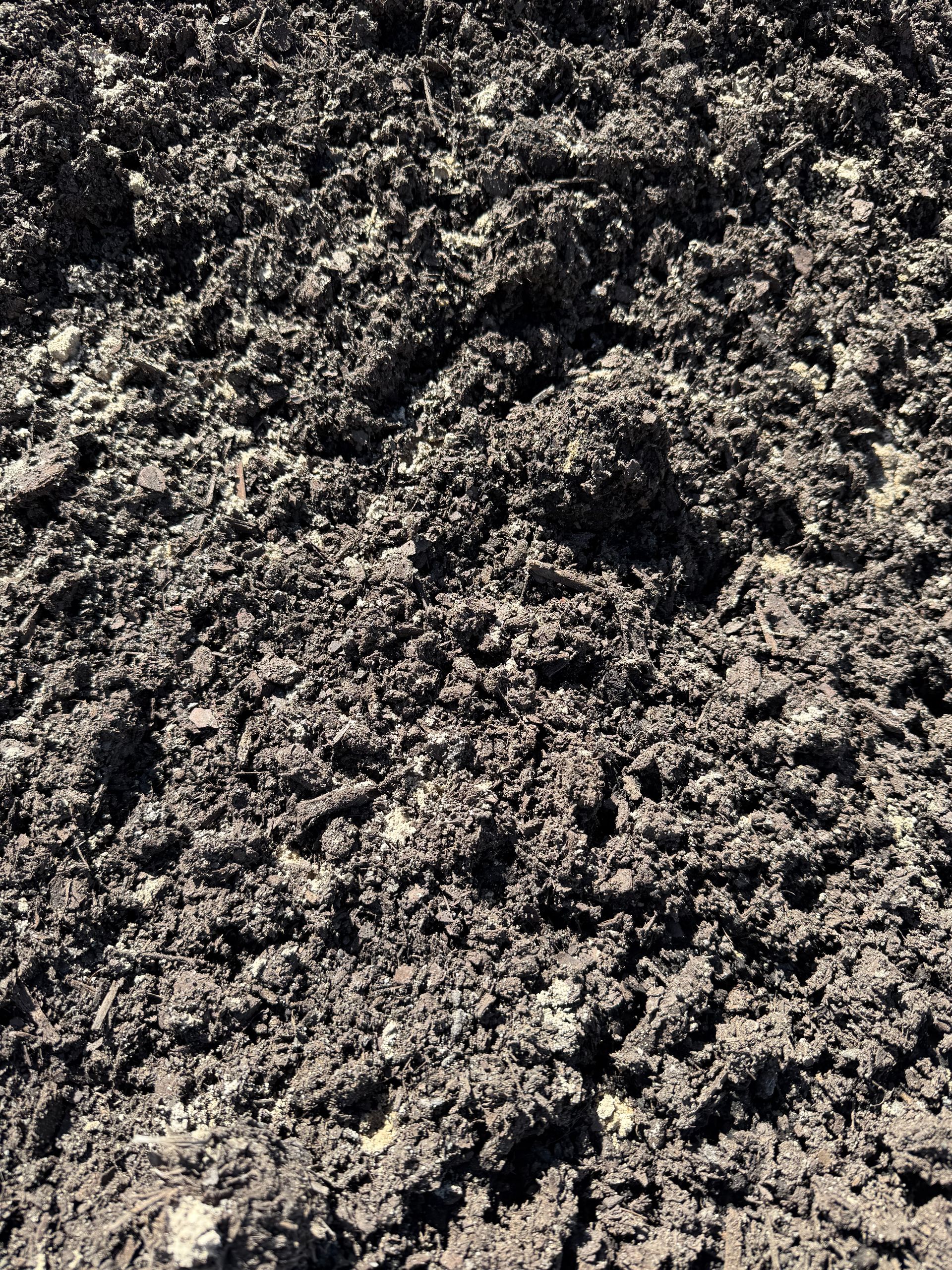 Soils in Hervey Bay | Envy Landscape Supplies