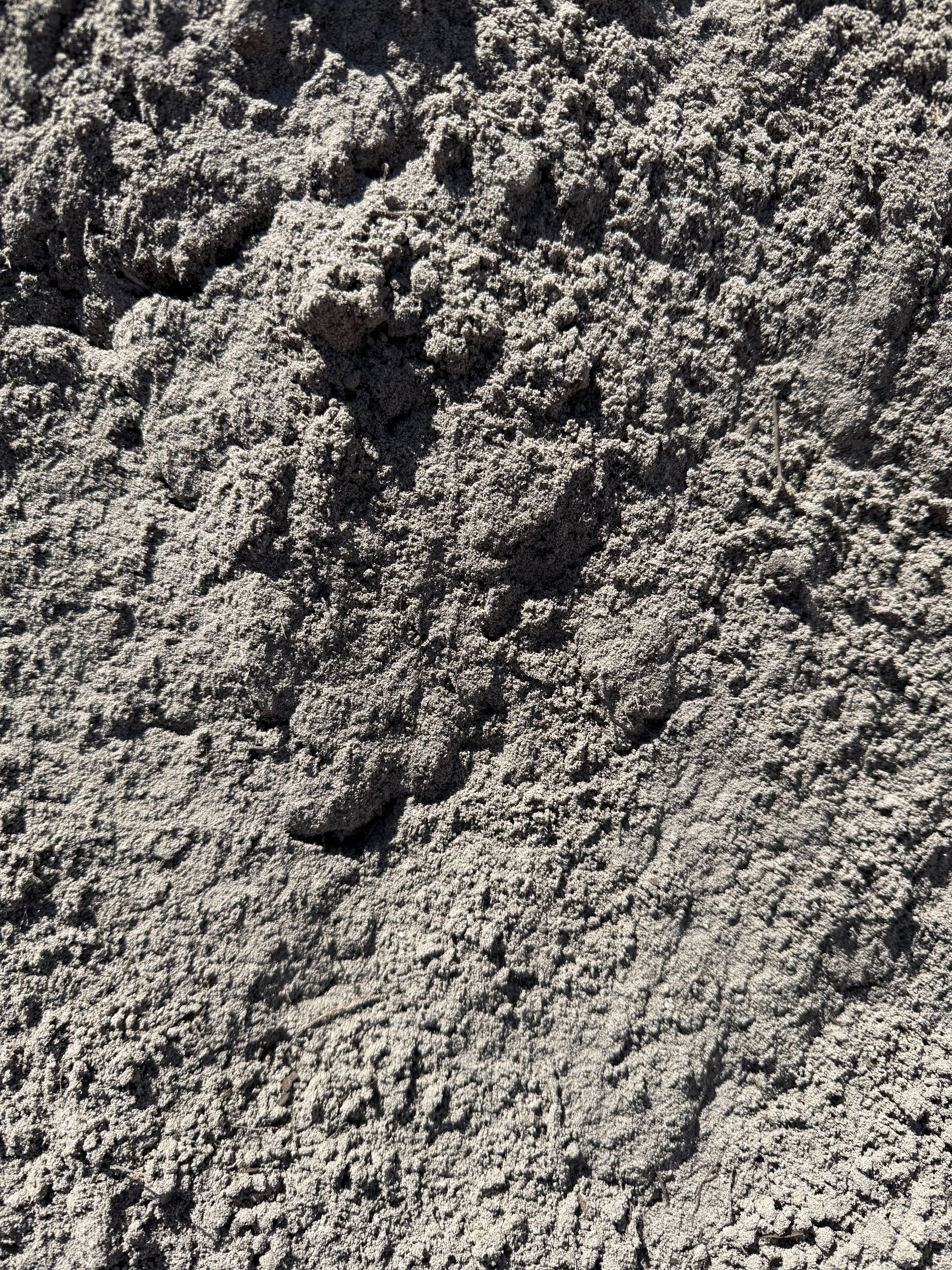 Soils in Hervey Bay | Envy Landscape Supplies