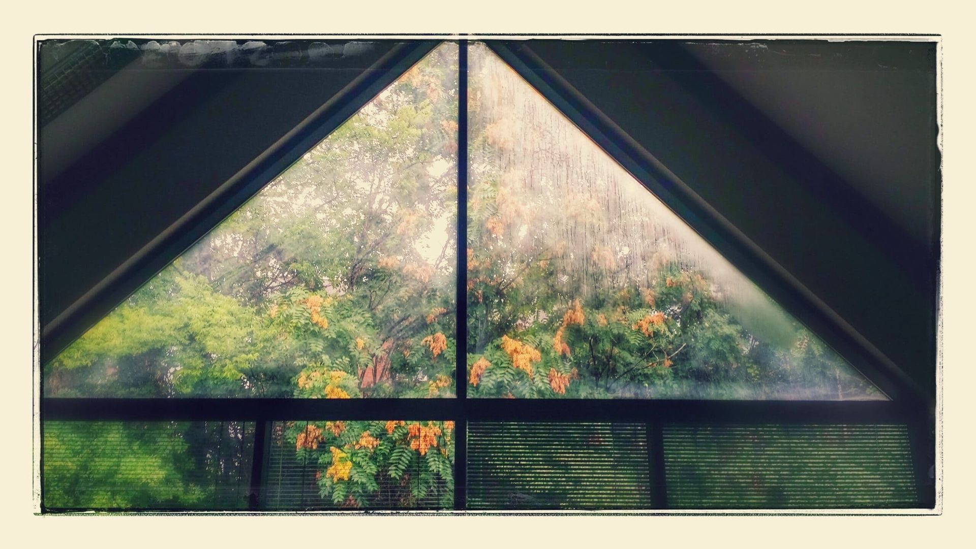 Commercial Window Tinting Photo Gallery