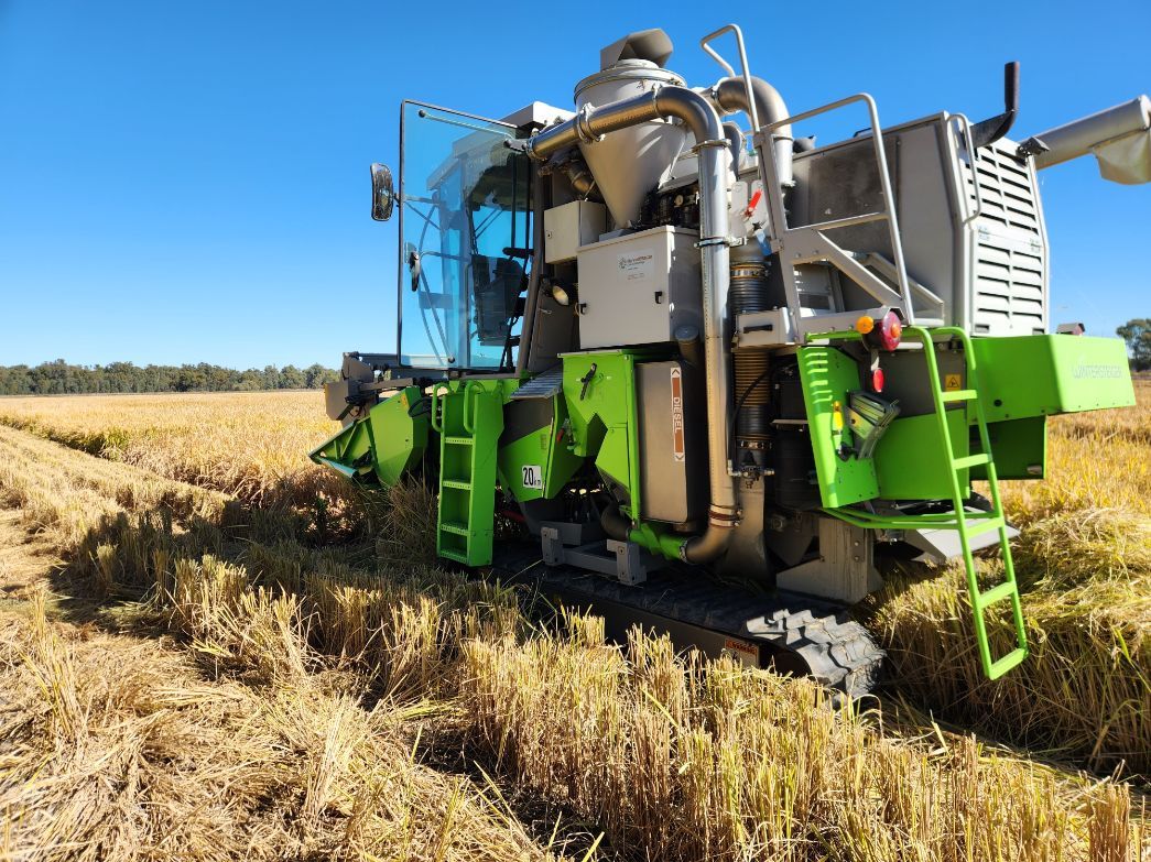 Rice Breeding Australia | Rice Production in Leeton