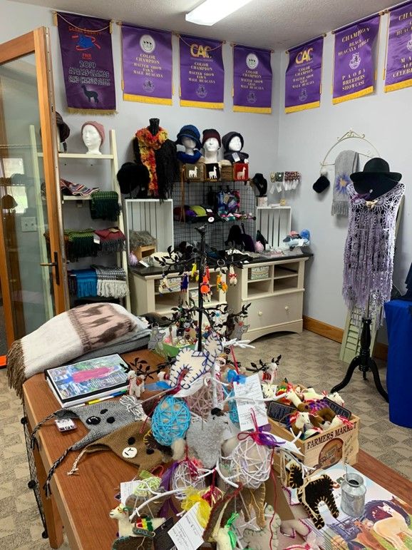 Alpaca Farm – Medway, OH – Holdfast Hilty Alpacas & Farm