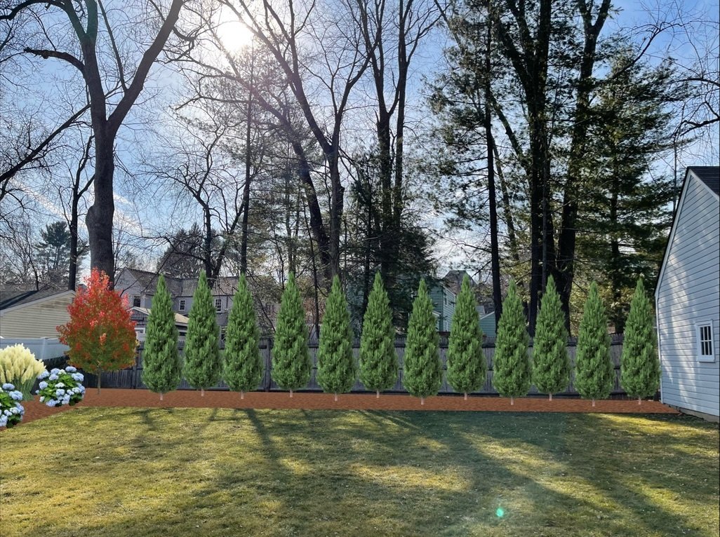 Arborvitae Wall | Privacy Fence | Design & Install | West Hartford, CT