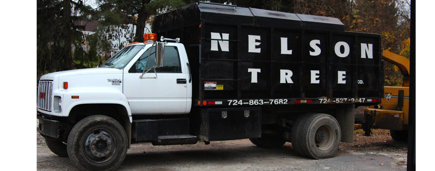 24/7 Emergency Full Tree Removal & Trimming Service Company Murrysville ...