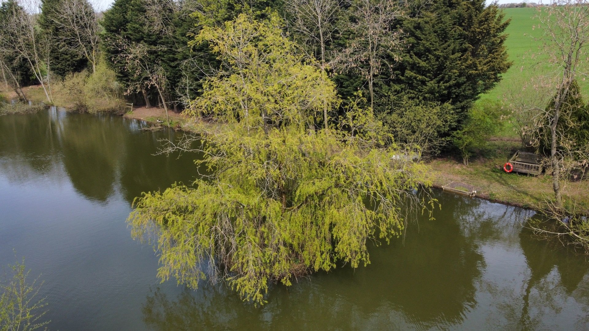 Willow Lakes and Fields