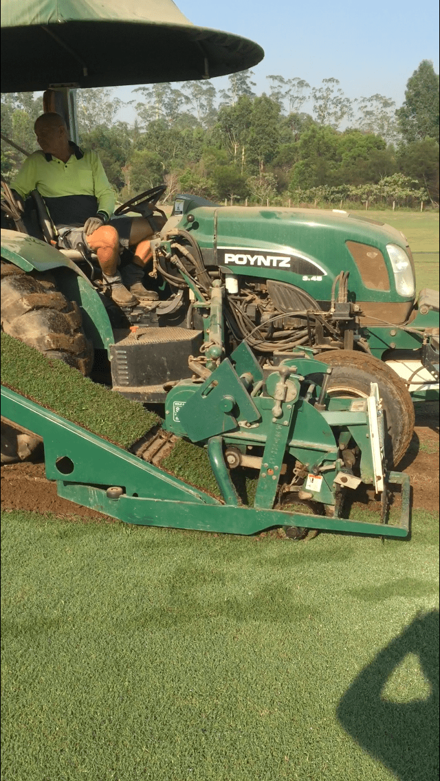Quality Turf in Coffs Harbour | Boambee Turf