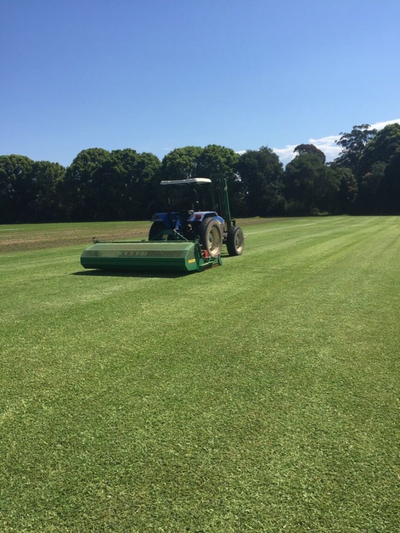 Gallery | Boambee Turf
