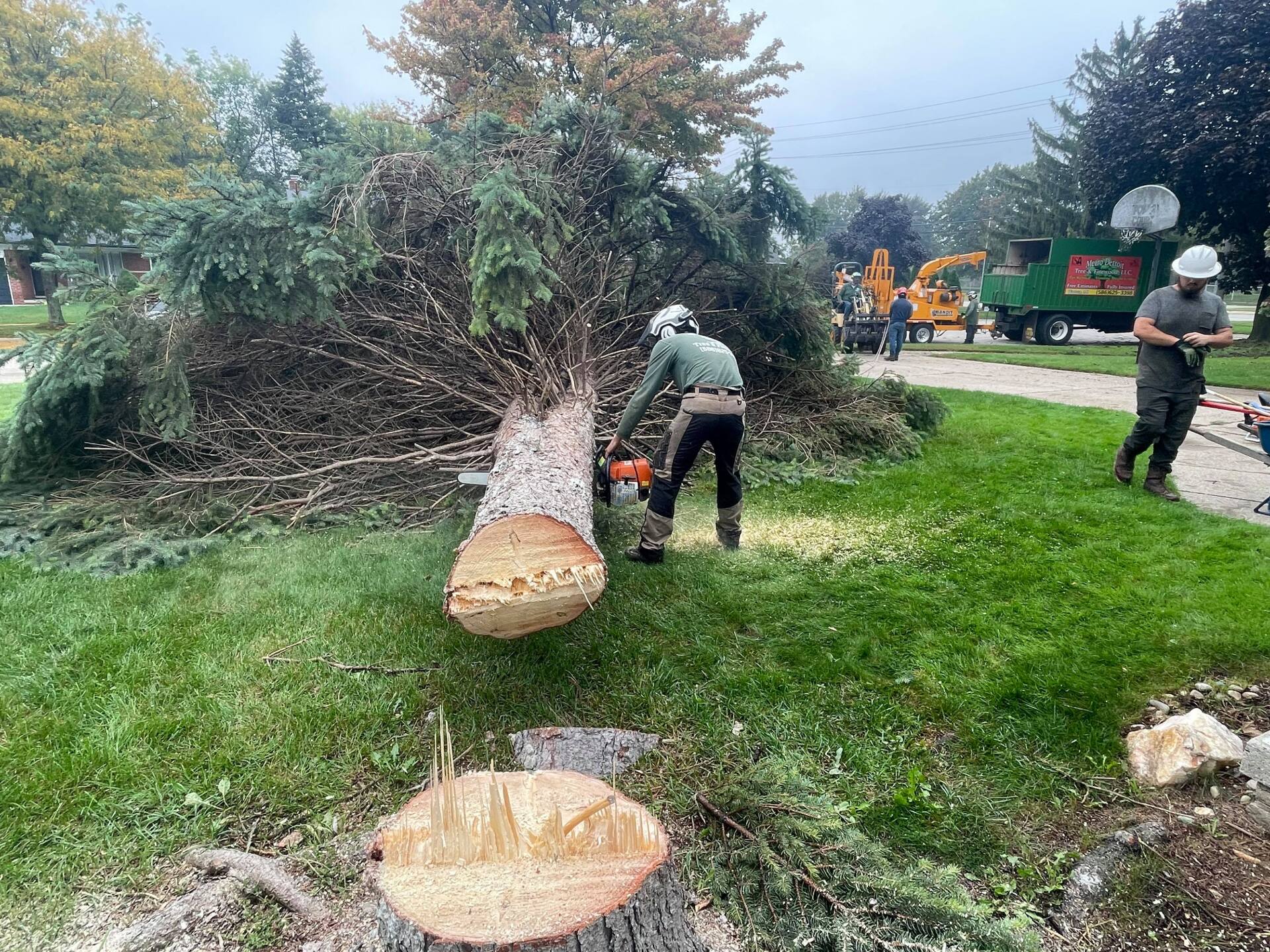 Home - Metro Detroit Tree and Firewood