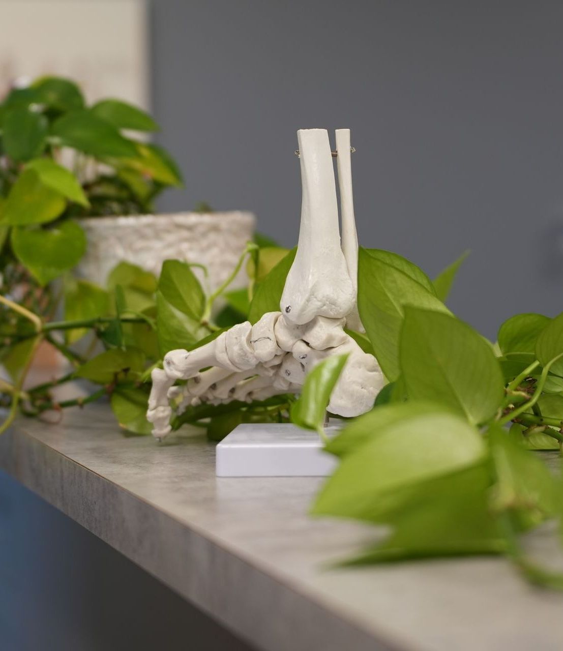 Foot and Ankle Clinic Austin, TX | Southwest Austin