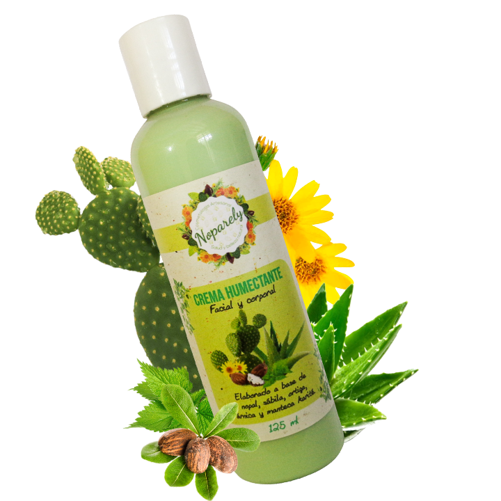 BACTEREX 1 LITRO | Sanitizante concentrado uso industrial y hogar a ...