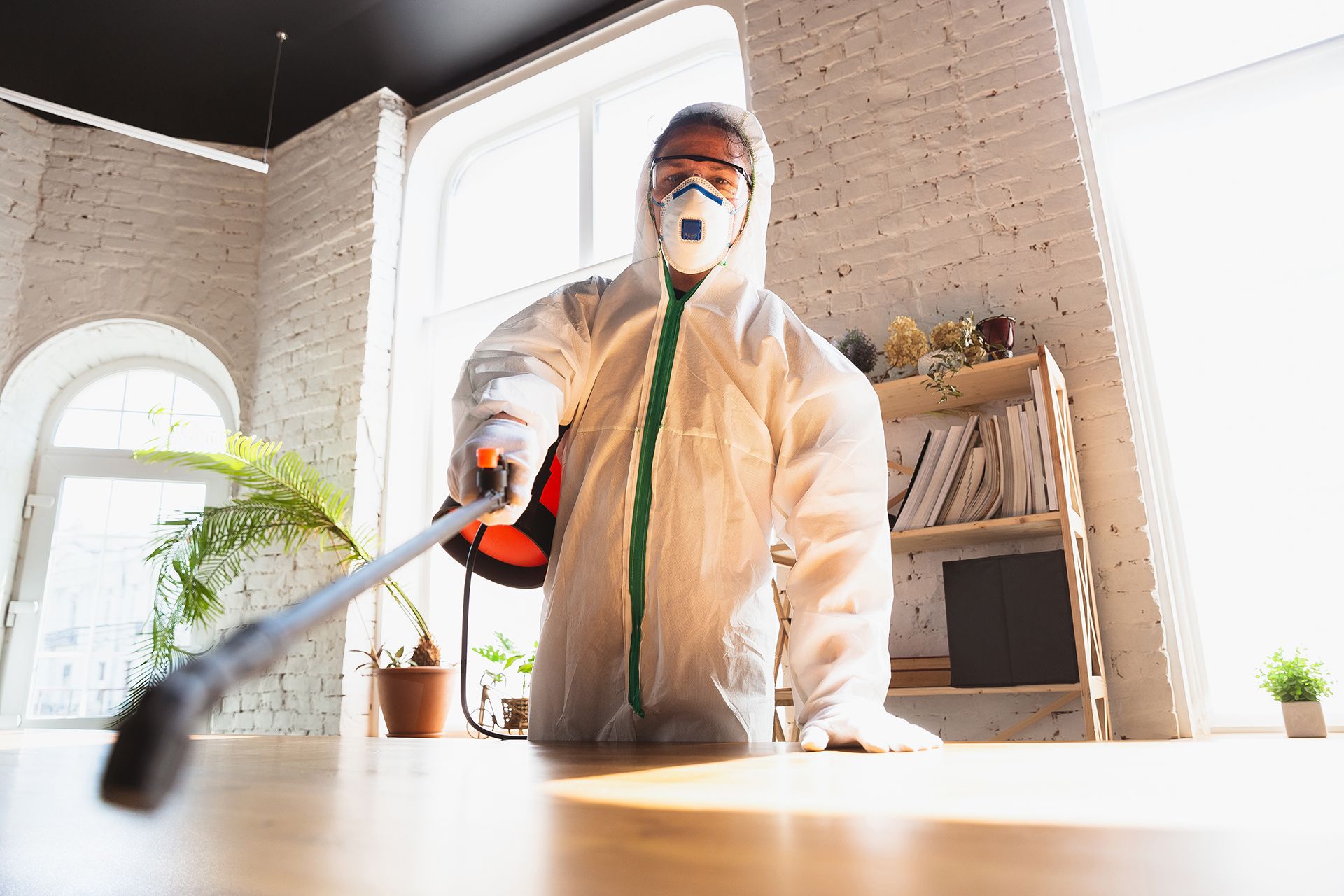 Mold Removal Services | Mold Busters | Cincinnati, Columbus & Dayton