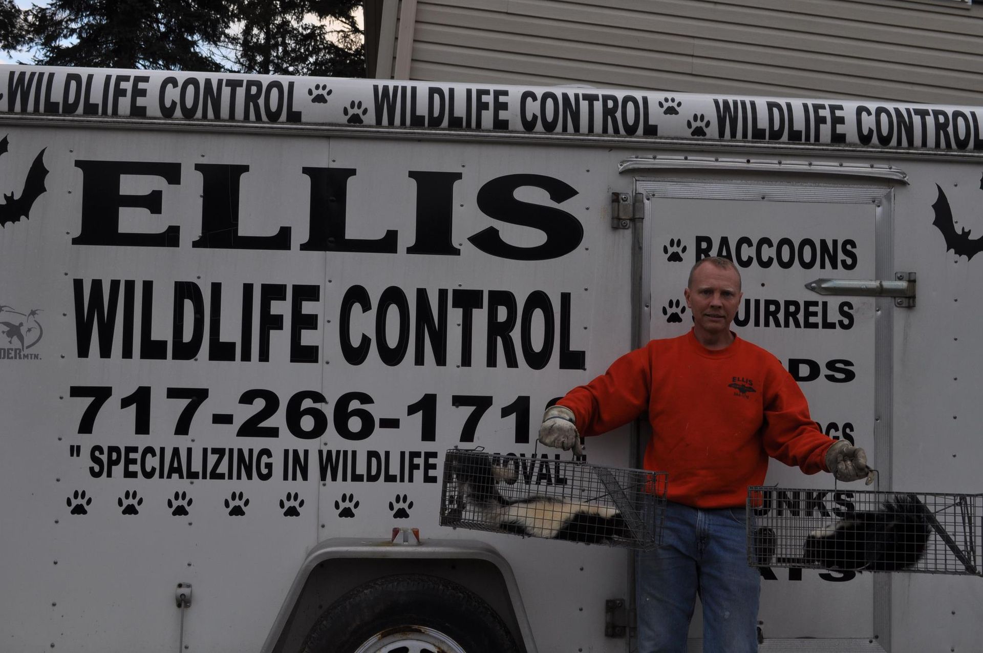 Pest Removal | Manchester, PA | Ellis Wildlife Pest Control
