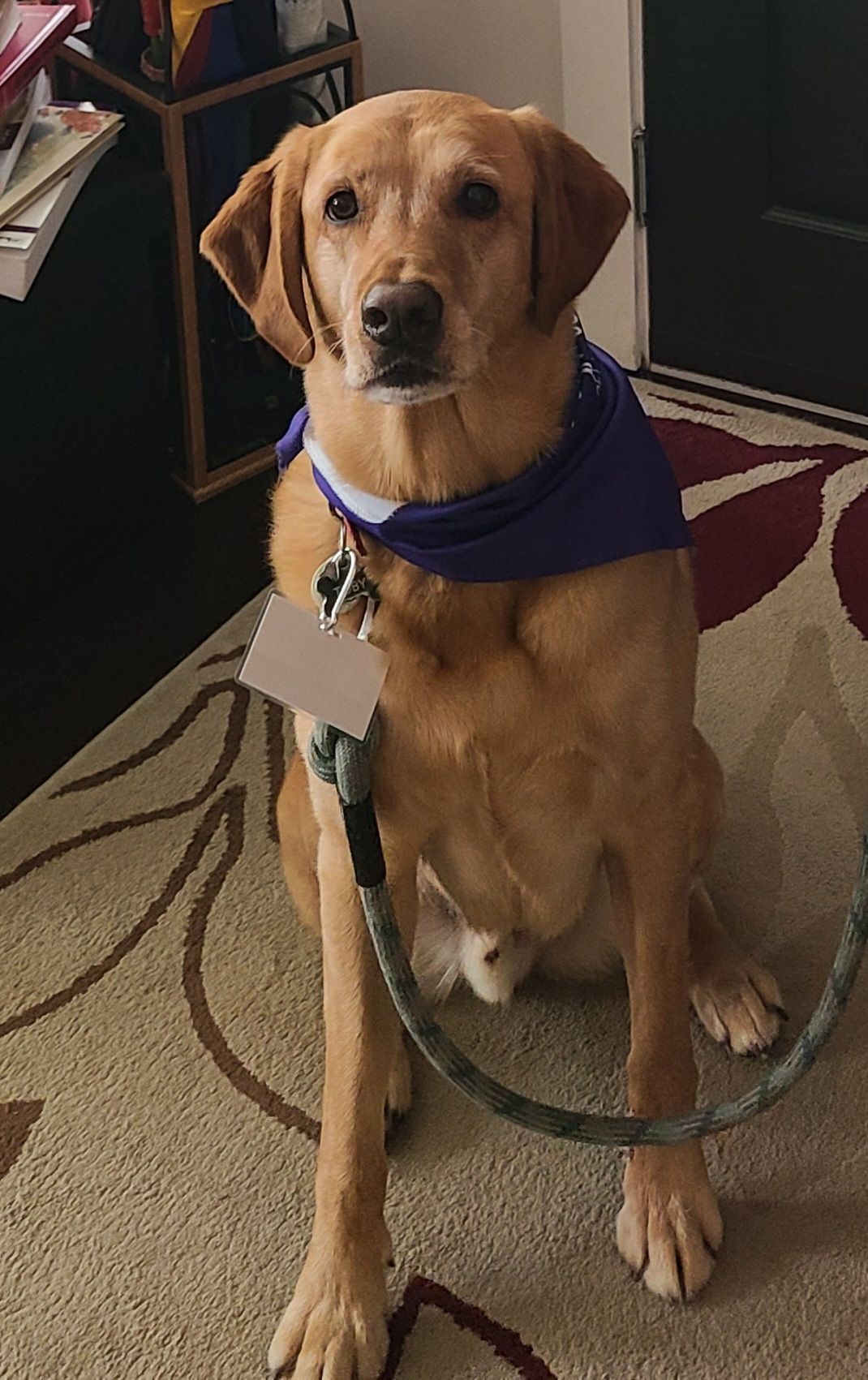 Impactful Moments: Angela & Toby's Story