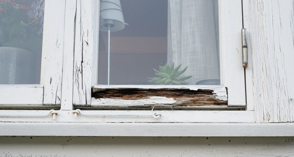 Spotting the Early Signs of Window Rot | Woodland Windows & Doors