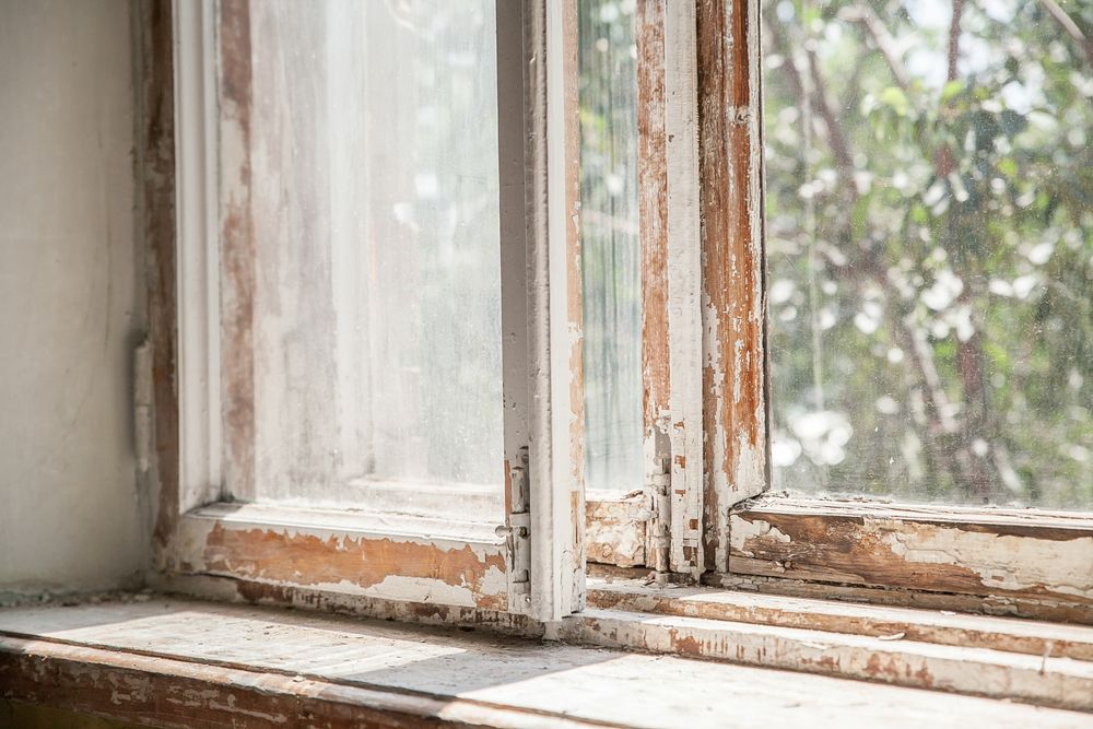 Spotting the Early Signs of Window Rot | Woodland Windows & Doors