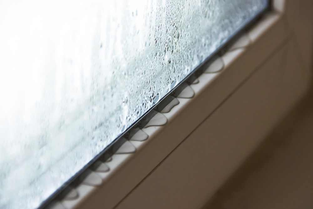 Warped Windows: What Should You Do? | Woodland Windows & Doors