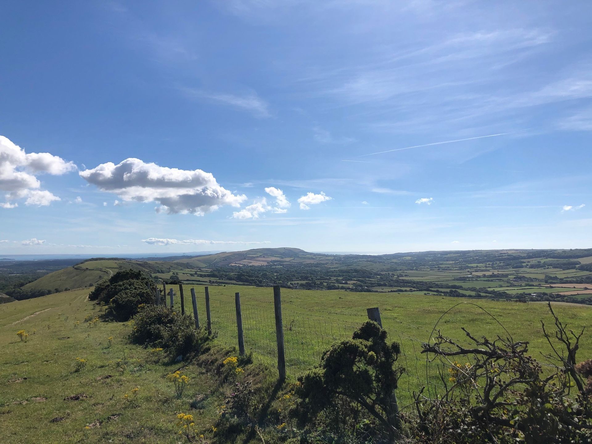 Relaxing Rural Holidays in Dorset | East Creech Farm