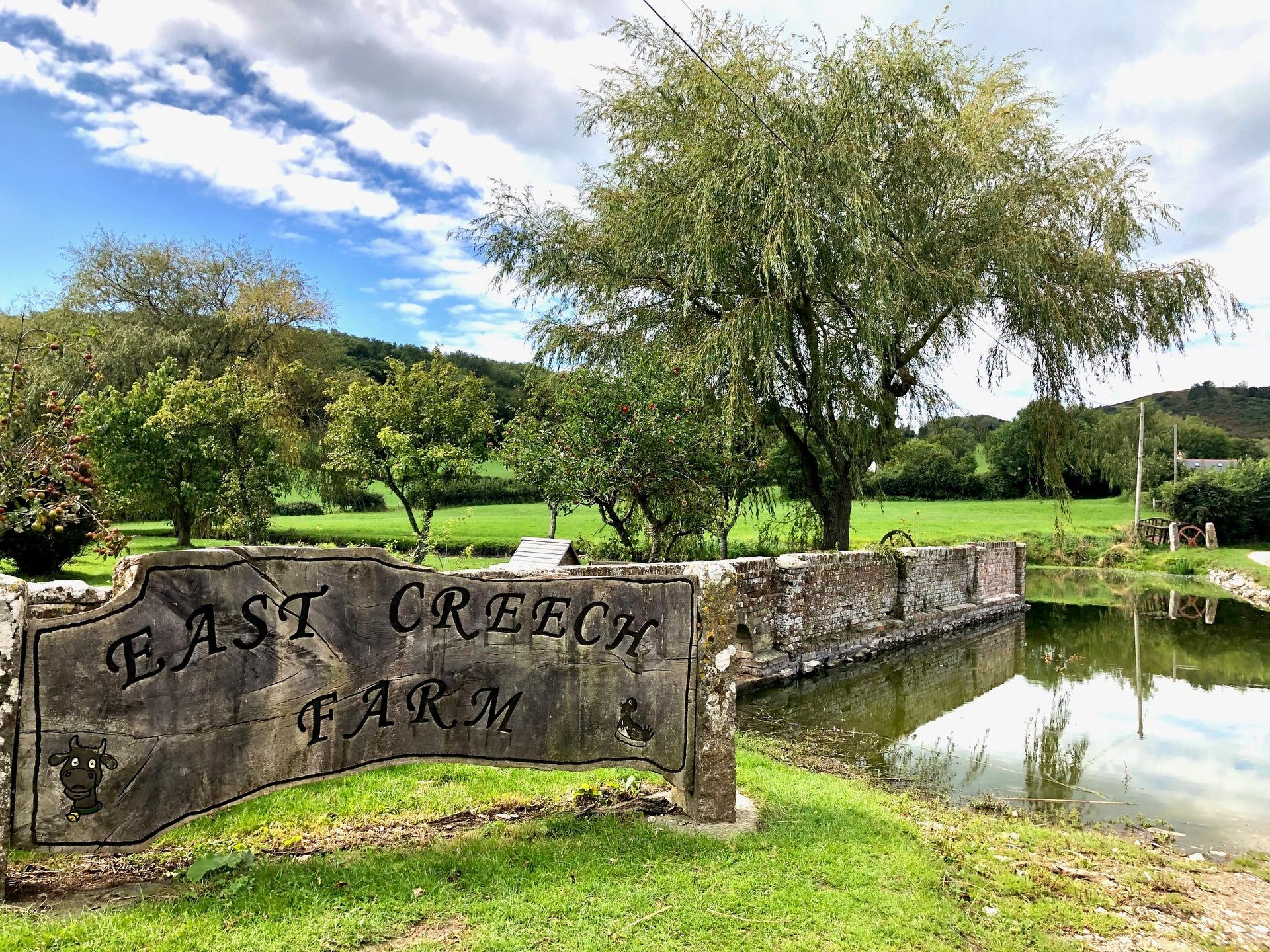 Camping Holidays in Dorset | 80 Electric Pitches | East Creech Farm ...